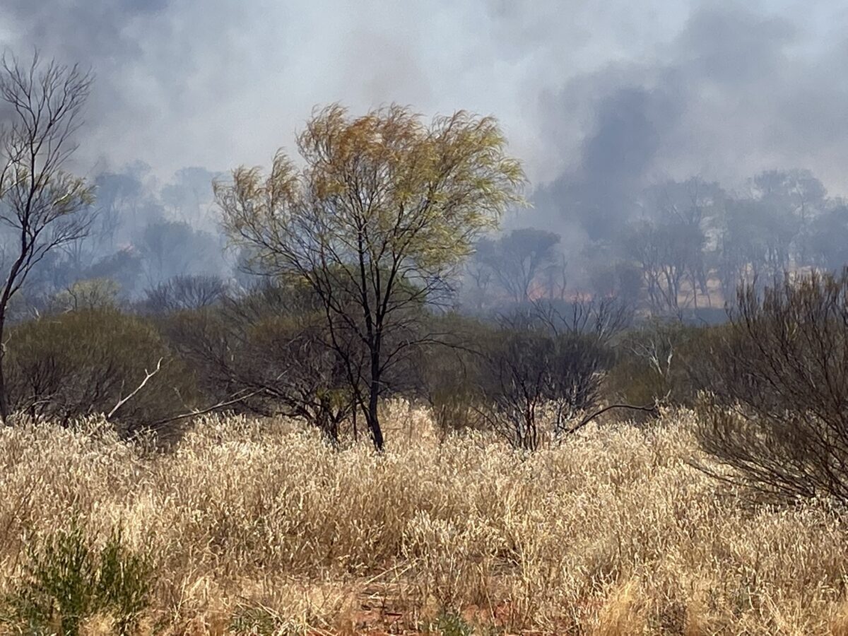Incredible photos as Bush Fire Brigades assist with Gascoyne fire ...