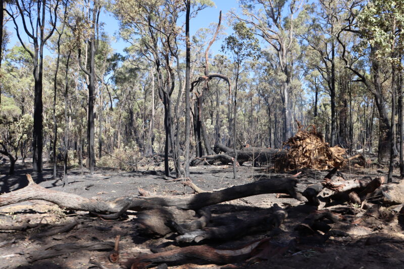 Bushfire Volunteers – Diverse. Rewarding. Invaluable.
